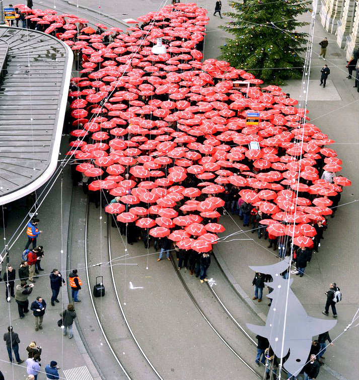 Home | The Ken Sprague Fund